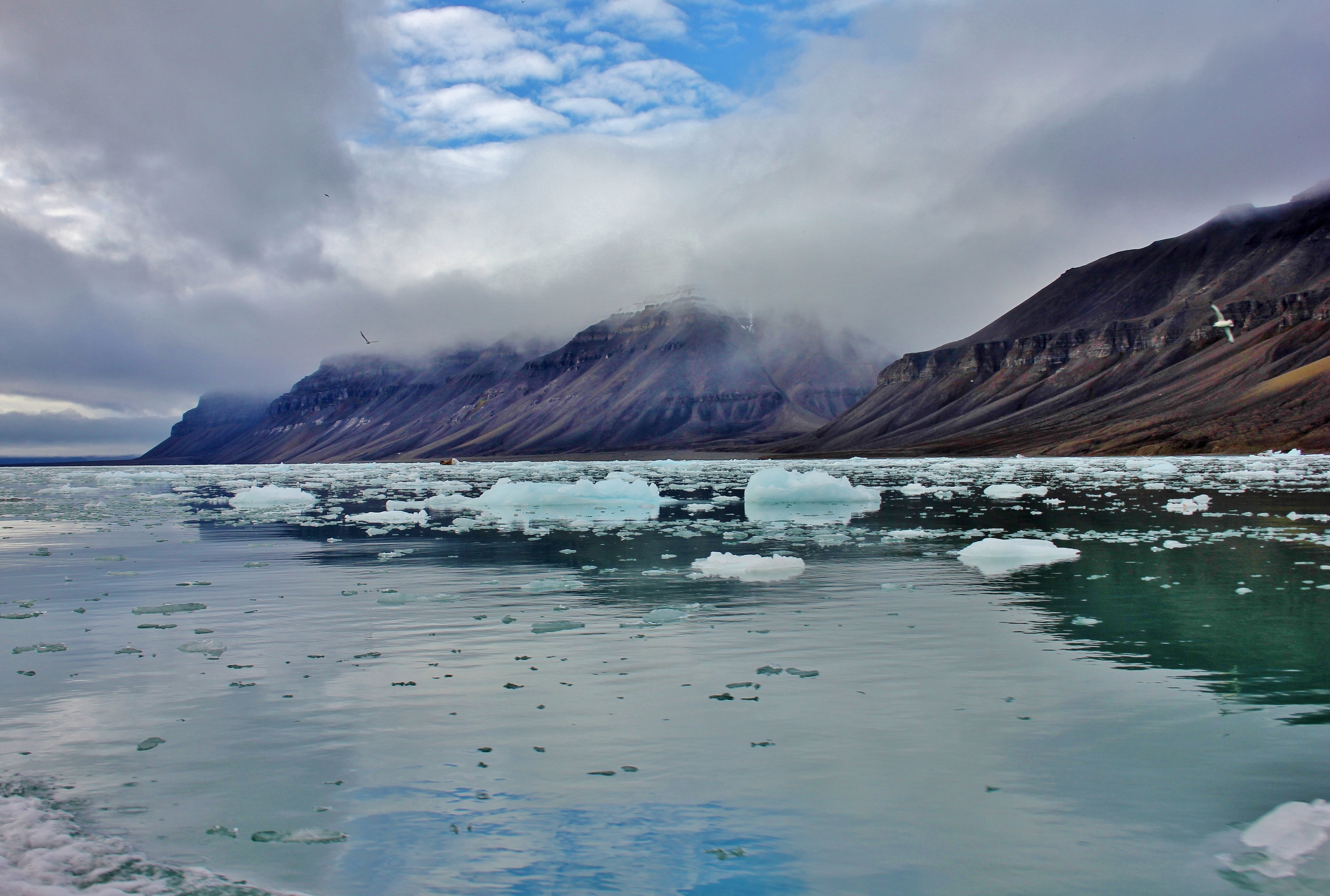 A Boat Trip Safari to Von Post Glacier in Svalbard