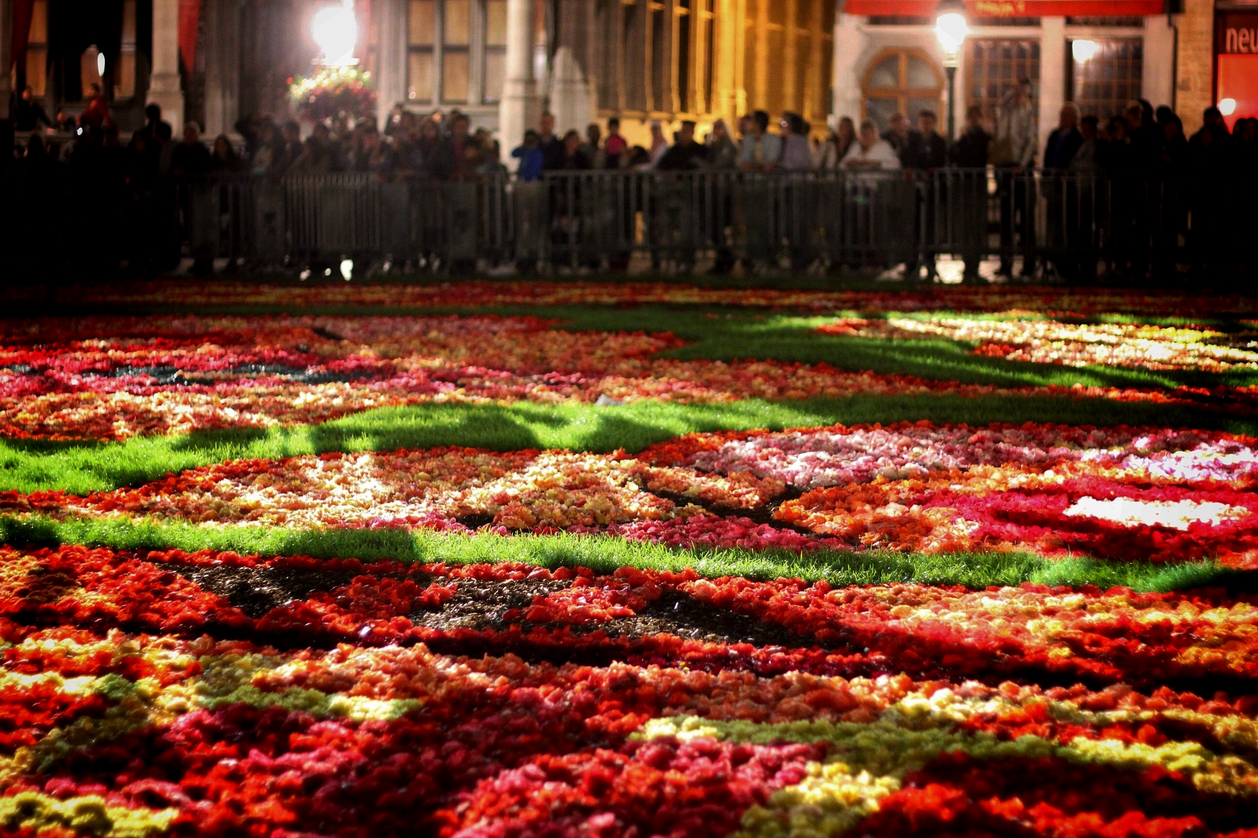 Attending the Flower Carpet Festival in Brussels