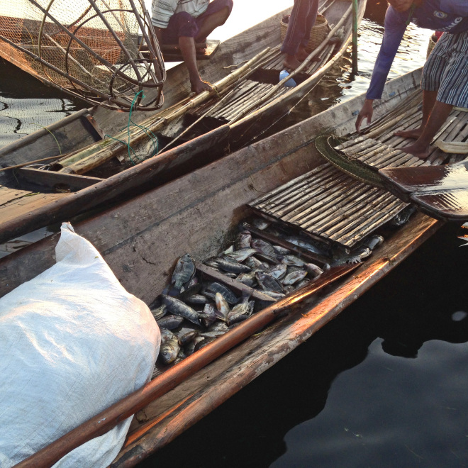 The Unique Leg-Rowing Fishermen of Inle Lake, Myanmar