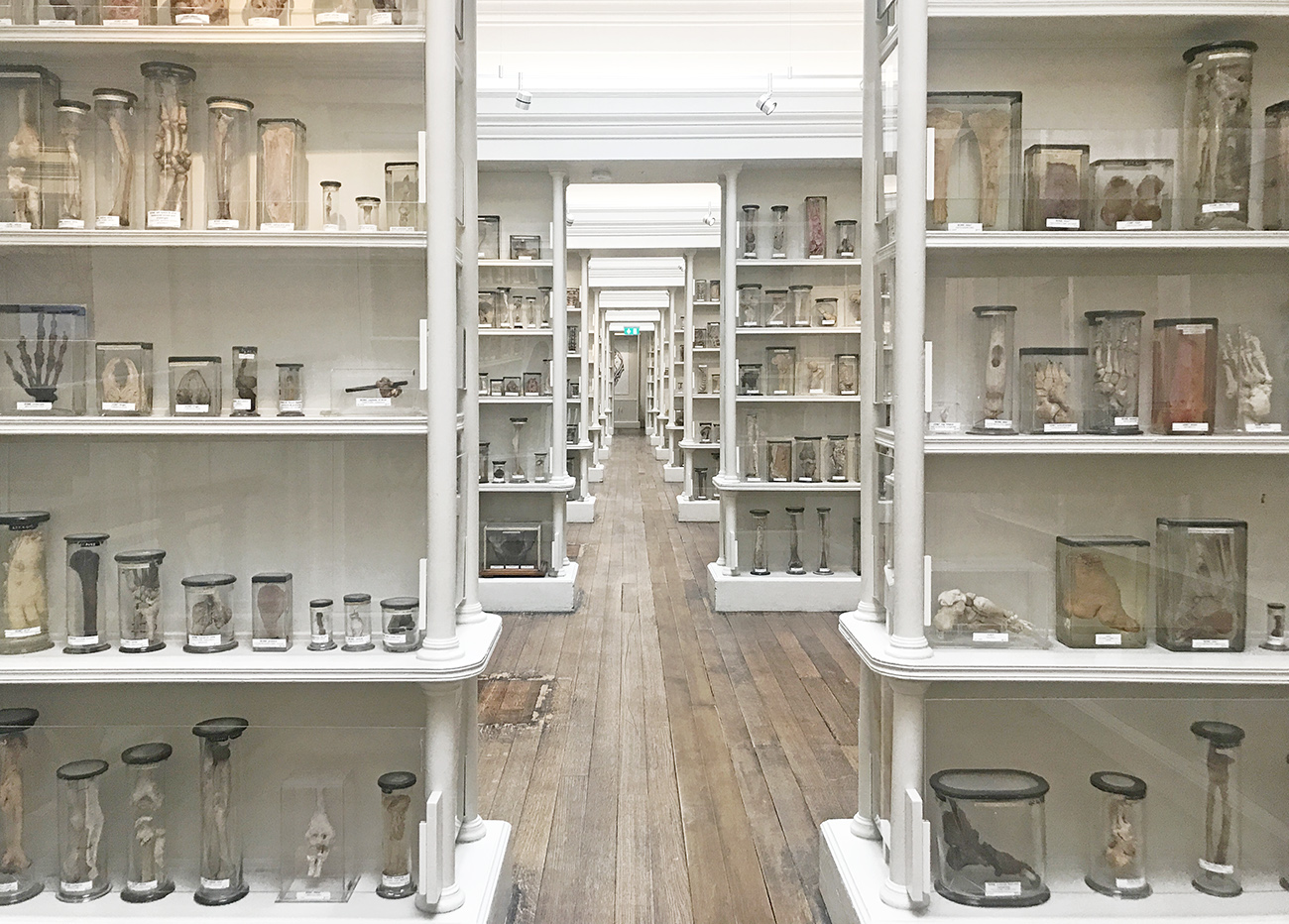 Morbid Curiosities: Surgeons’ Hall Museums in Edinburgh