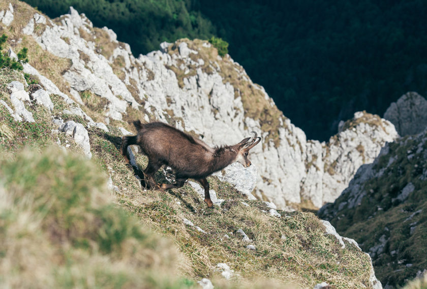 Romania: 12 amazing places to visit & things to do