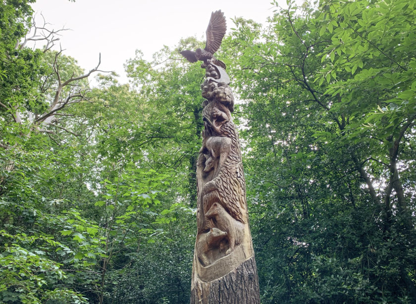 Quirky Tree Sculptures at Lesnes Abbey Woods in South London