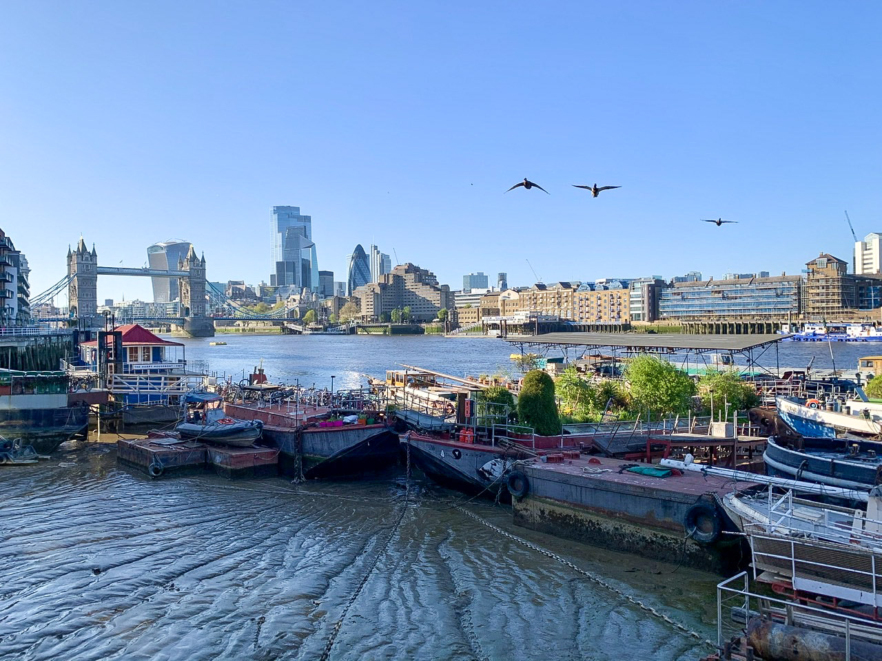 Walking from Greenwich to Tower Bridge Along the Thames Path