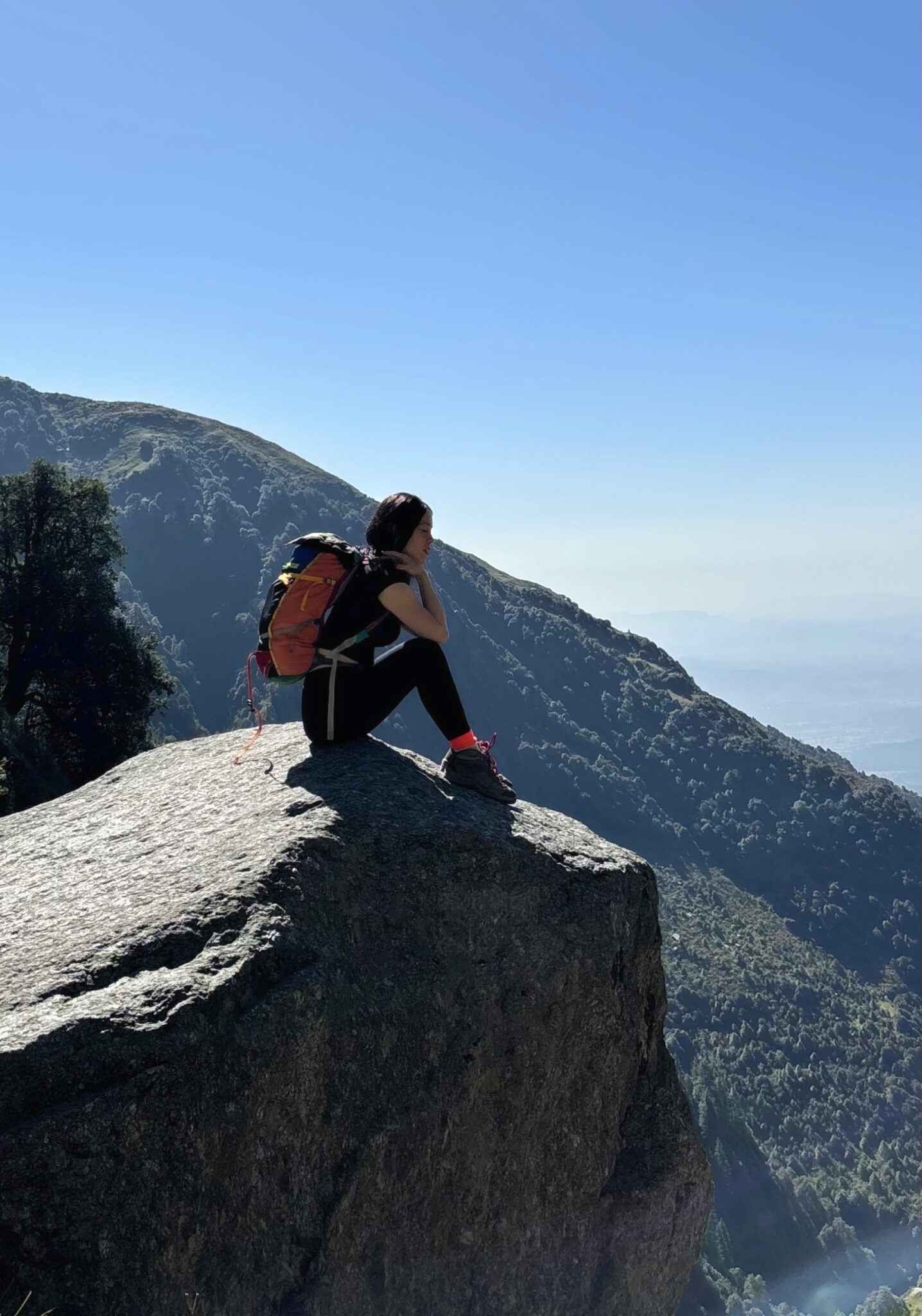 Triund Trek: The Perfect Hike from Mcleodganj + Mountain Goats!