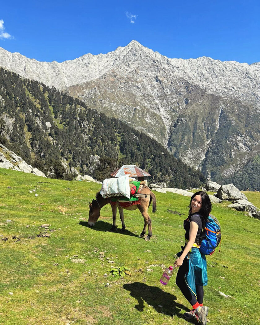 Triund Trek in Mcleodganj: Hiking Guide and Mountain Goats!