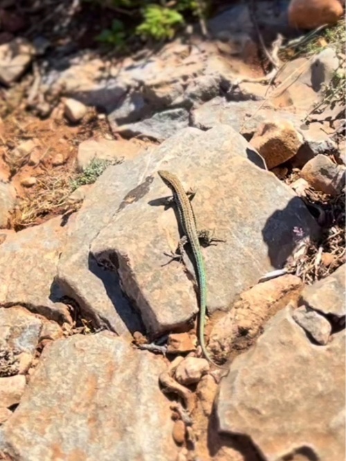 Hike From Gouverneto Monastery to Arkoudospilio Cave & Katholiko Bay in ...